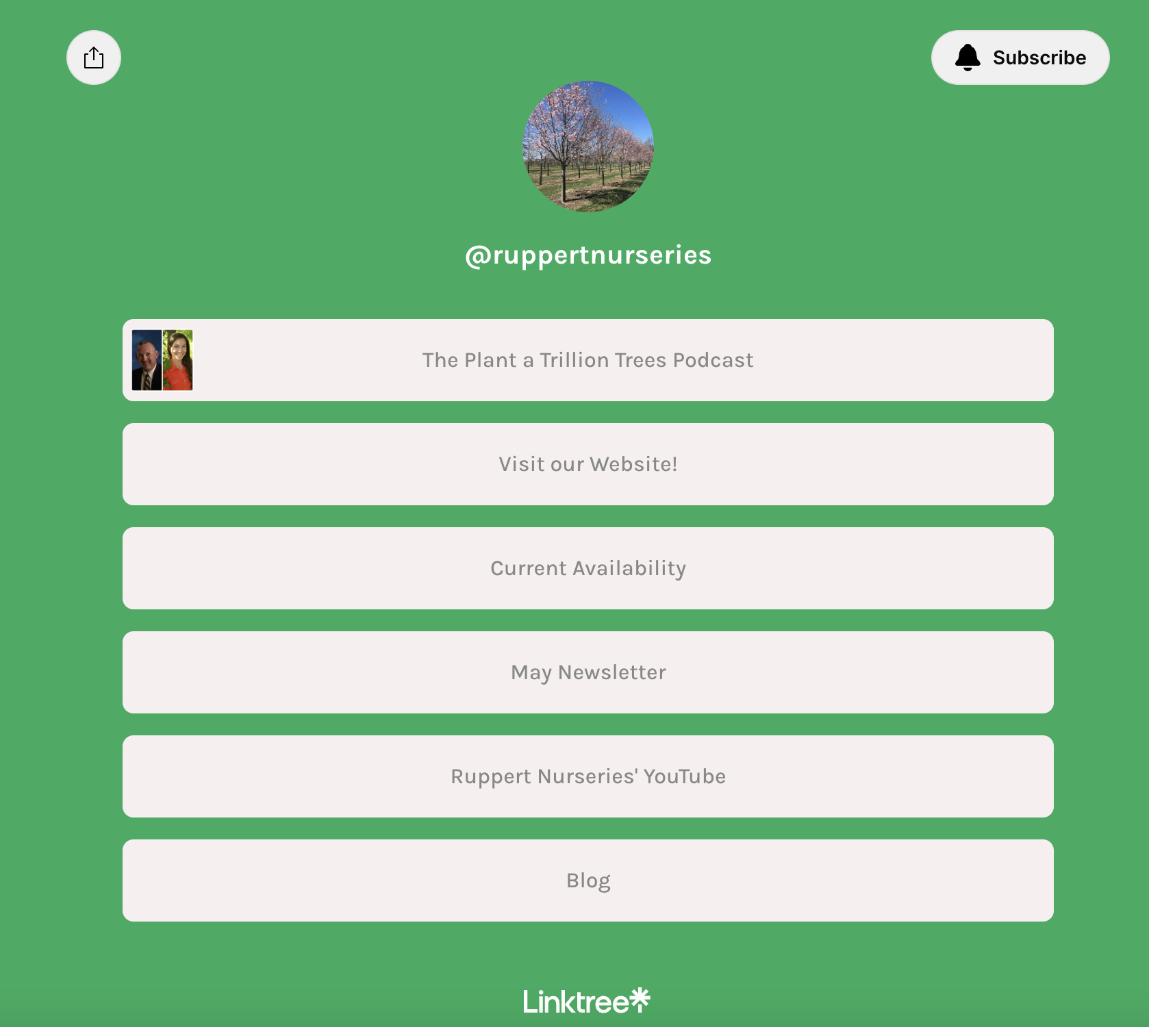 Best Linktree Examples To Help Convert Your Social Media Followers